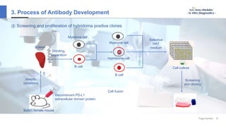 In Vitro Diagnostic (IVD) Antibody Development - Creative Biolabs | PPTX