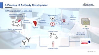 In Vitro Diagnostic (IVD) Antibody Development - Creative Biolabs | PPTX