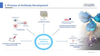 In Vitro Diagnostic (IVD) Antibody Development - Creative Biolabs | PPTX