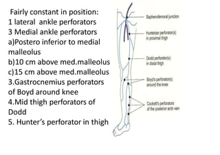 IVDHfUYLpUoJM8ld829.pptx