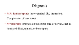 Inter vertebral disc prolapse | PPTX