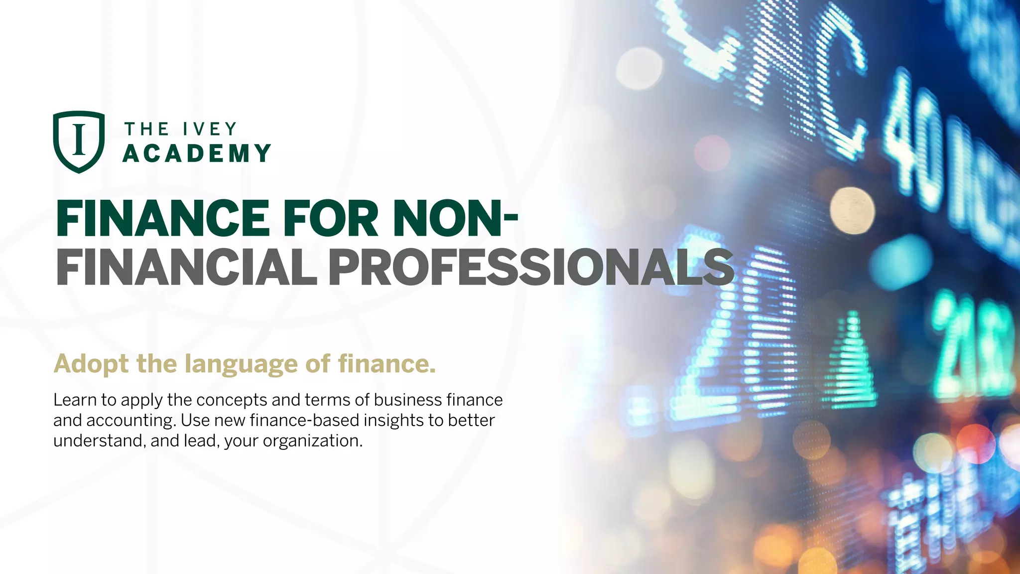 Ivey Finance Program Overview | PDF