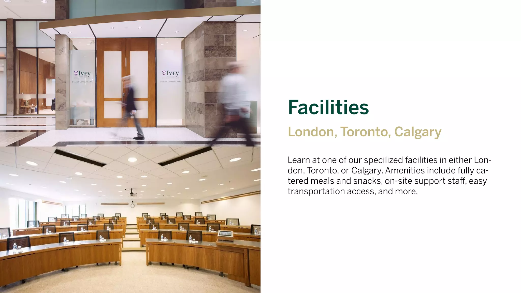 Ivey Finance Program Overview | PDF