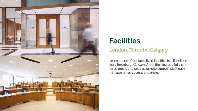 Ivey Finance Program Overview | PDF