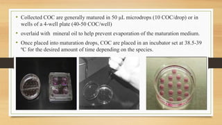 Invitro-fertilization (IVF) | PPTX