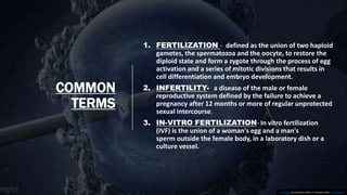 In vitro fertilization | PPTX