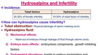 IVF and Hydrosalpinx | PPTX