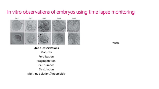 IVF industry and cleanroom concepts | PPTX