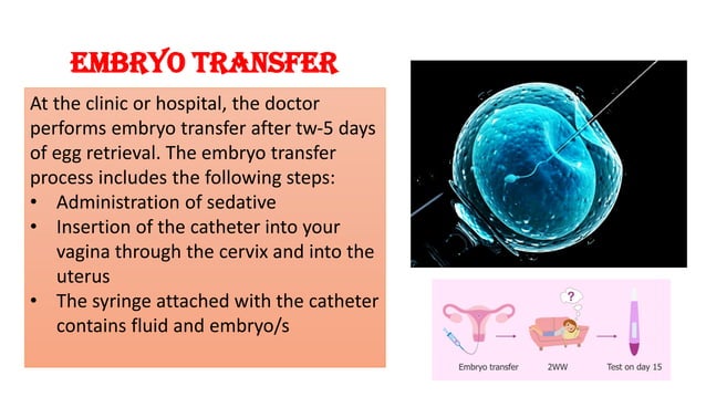 IVF & IVF Process | PPT