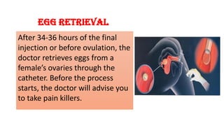 IVF & IVF Process | PPT