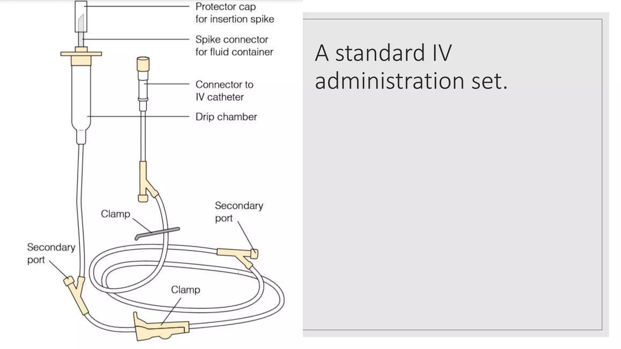 IV Fluids Clinical Discussion | PPTX