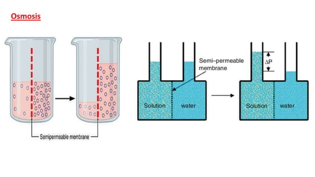 TYPES OF IV FLUIDS.pptx | Pharmaceutical Drugs | Medical Health