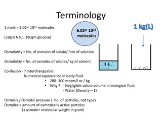 iv fluids PGA UCMS 2017, IV fluid mgmt intraop | PPT