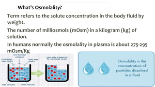IV Fluid Therapy 2023.pptx