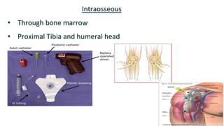 IV Fluid Therapy 2023.pptx