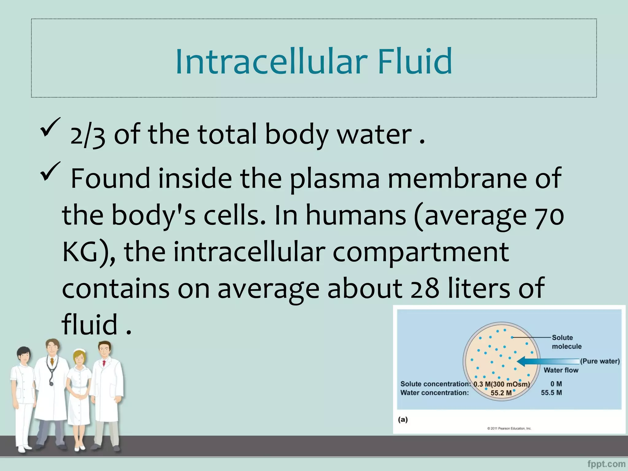 Iv fluid therapy (types, indications, doses calculation) | PPT