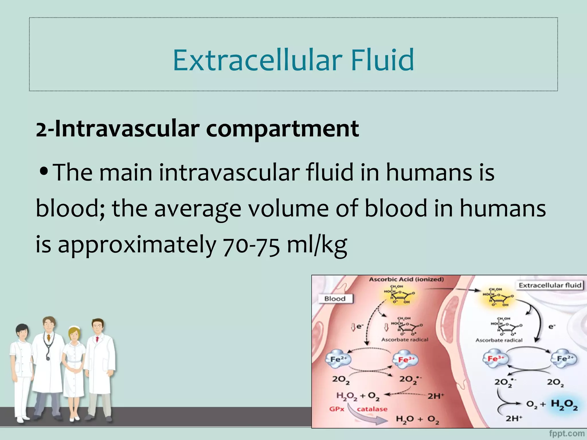 Iv fluid therapy (types, indications, doses calculation) | PPT
