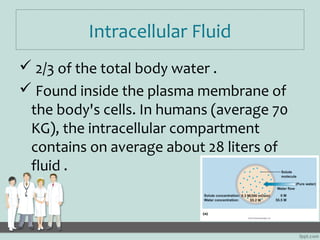 Iv fluid therapy (types, indications, doses calculation) | PPT