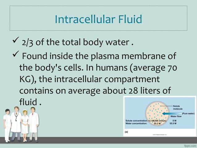 Iv fluid therapy (types, indications, doses calculation) | PPT | First ...