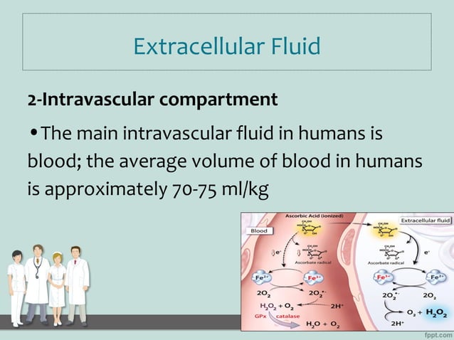 Iv fluid therapy (types, indications, doses calculation) | PPT | First ...