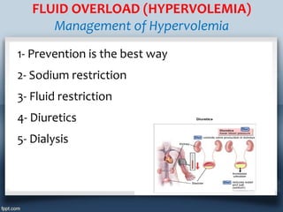 Iv fluid therapy (types, indications, doses calculation) | PPT