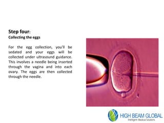 IVF Treatment In India !! | PPTX