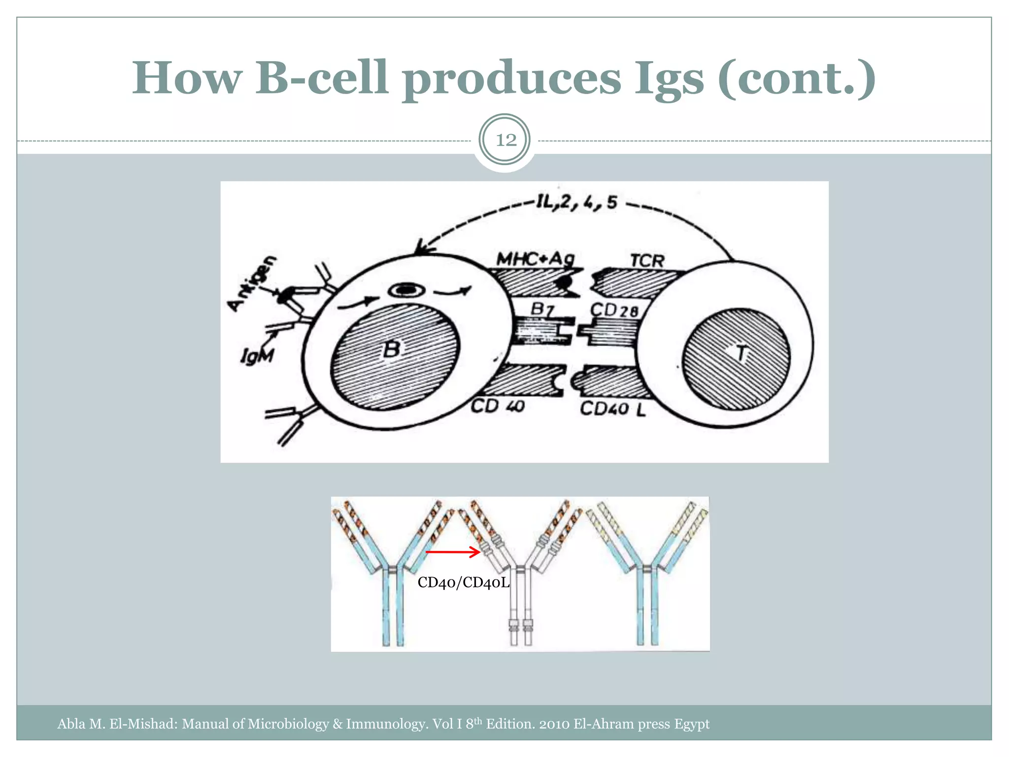 Intravenous immunoglobulin therapy (IVIG) | PPTX