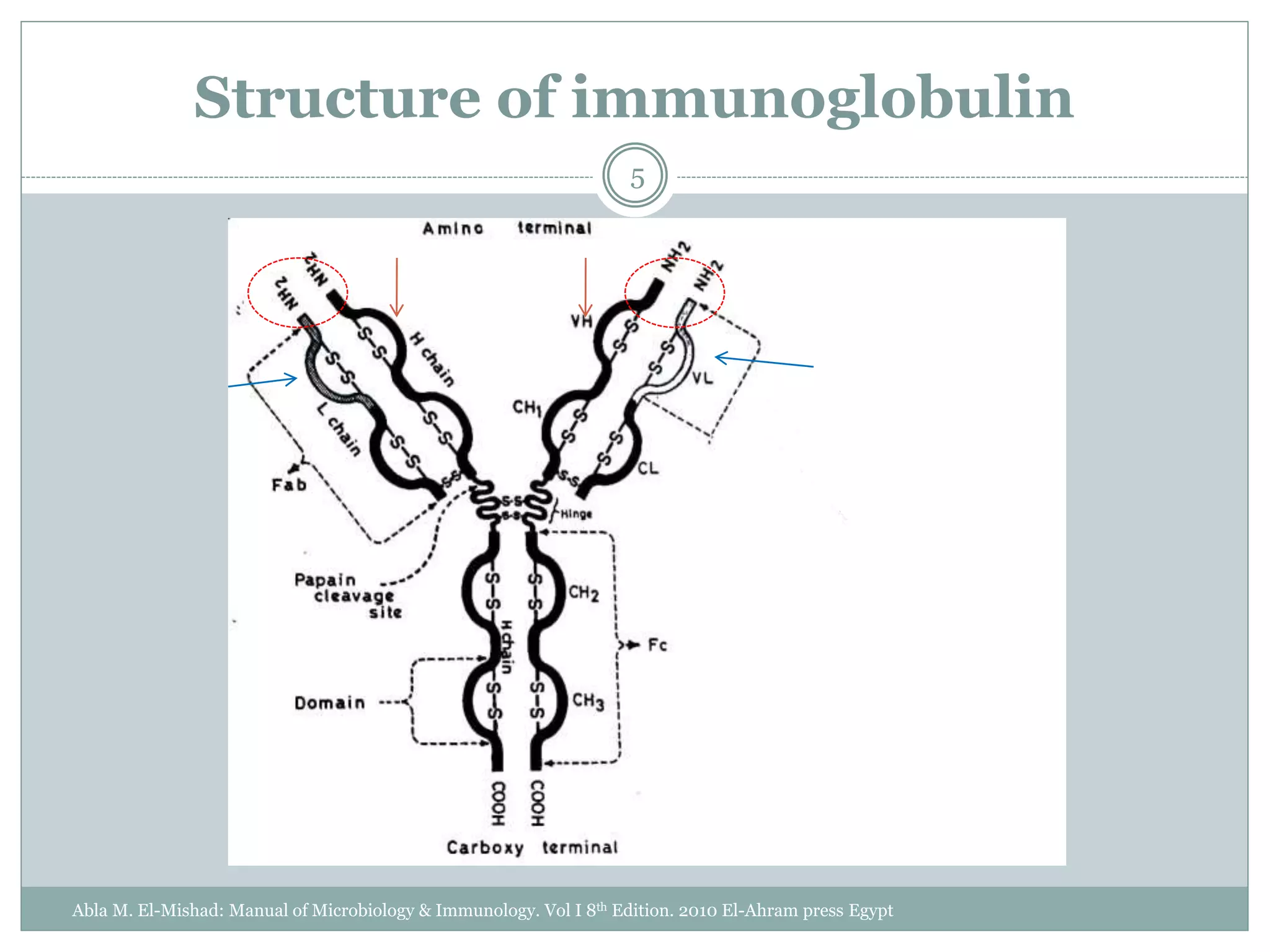 Intravenous immunoglobulin therapy (IVIG) | PPTX
