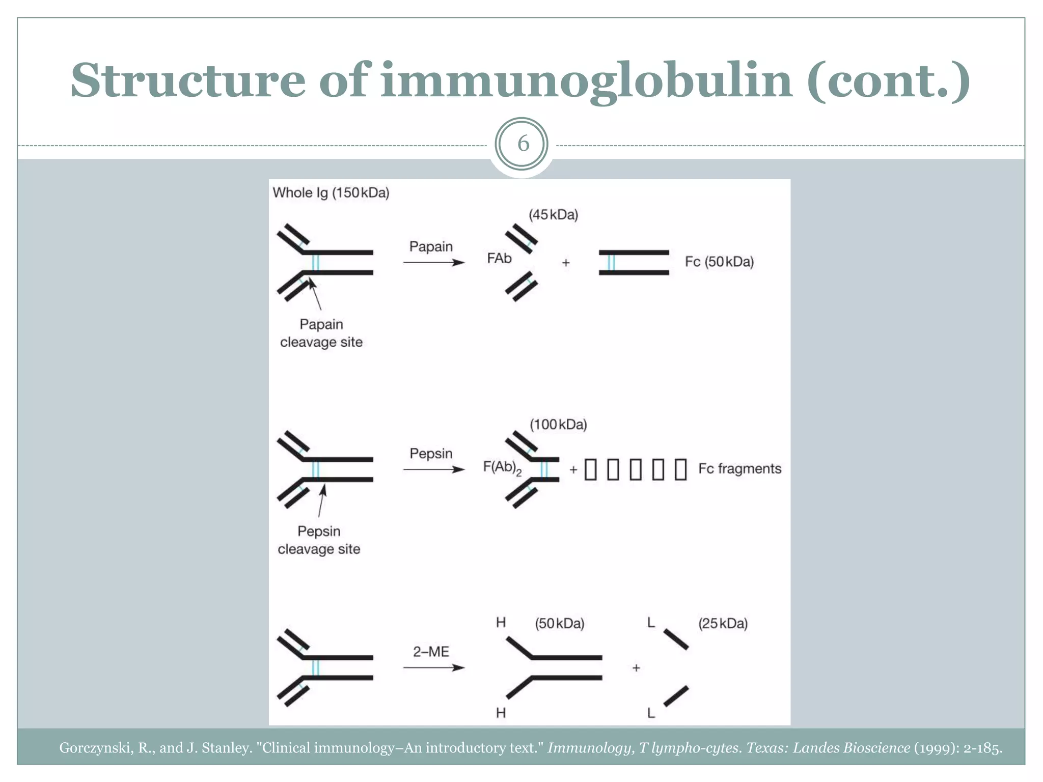 Intravenous immunoglobulin therapy (IVIG) | PPTX