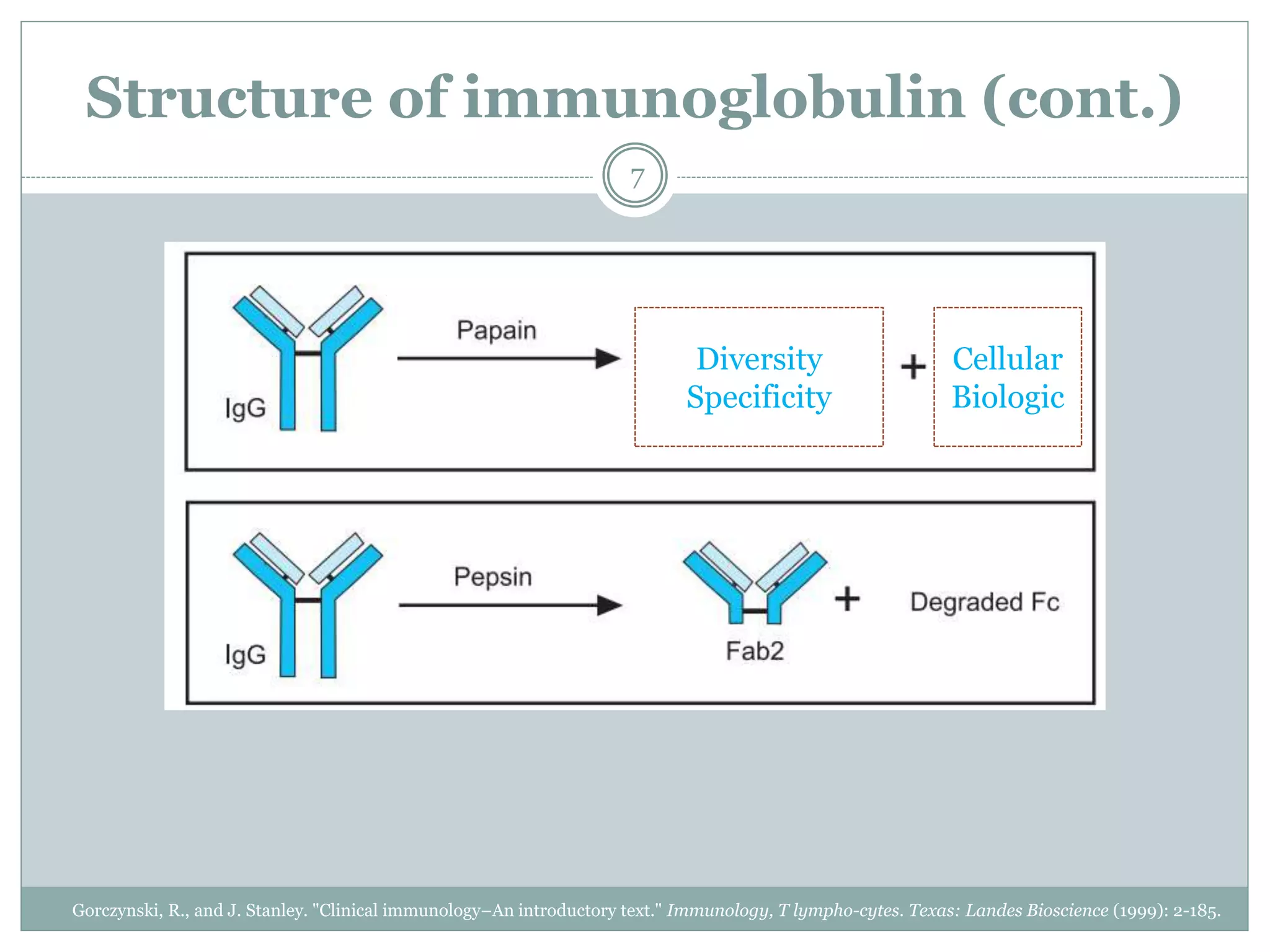 Intravenous immunoglobulin therapy (IVIG) | PPTX