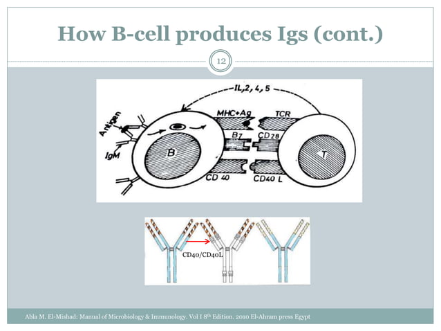 Intravenous immunoglobulin therapy (IVIG) | PPTX