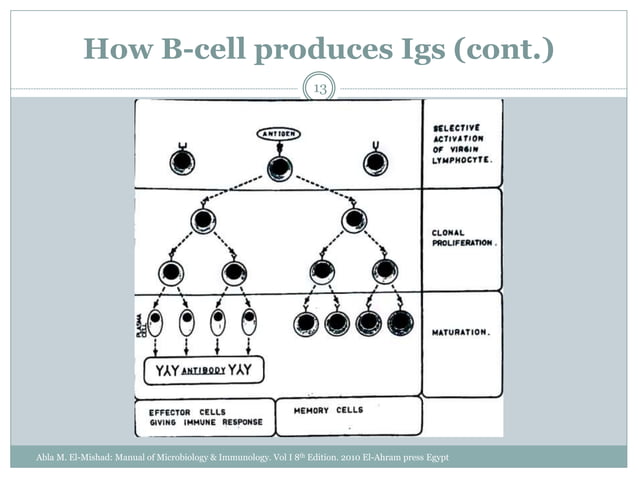 Intravenous immunoglobulin therapy (IVIG) | PPTX