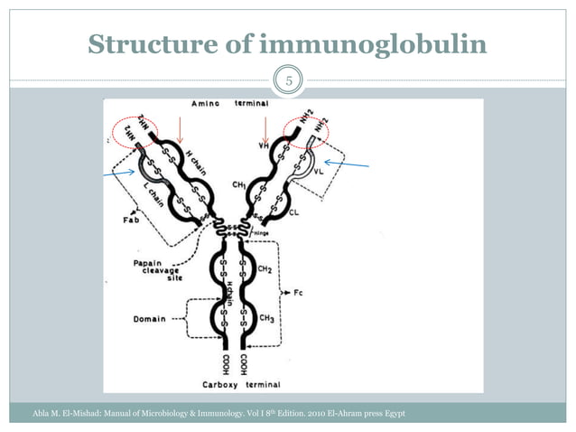 Intravenous immunoglobulin therapy (IVIG) | PPTX