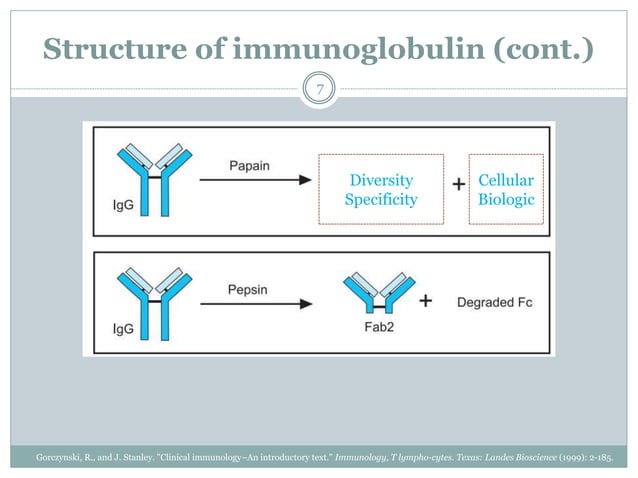 Intravenous immunoglobulin therapy (IVIG) | PPTX