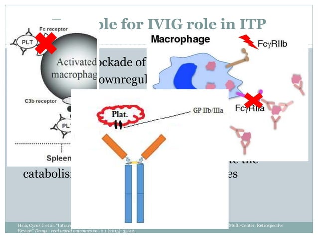 Intravenous immunoglobulin (IVIG) | PPTX | Blood Disorders | Diseases ...