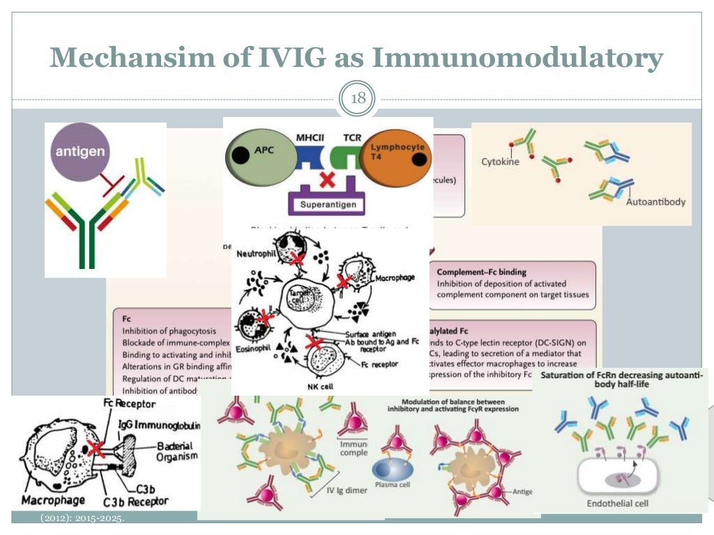 Intravenous immunoglobulin (IVIG)