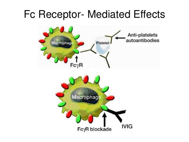 When to use IVIG in Rheumatic Diseases