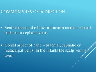 Intravenous Injection ppt | PPTX