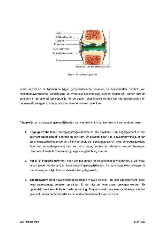 Introductie tot ergonomie | PDF