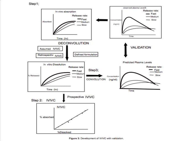 IVIVC | PPTX | Chemistry | Science