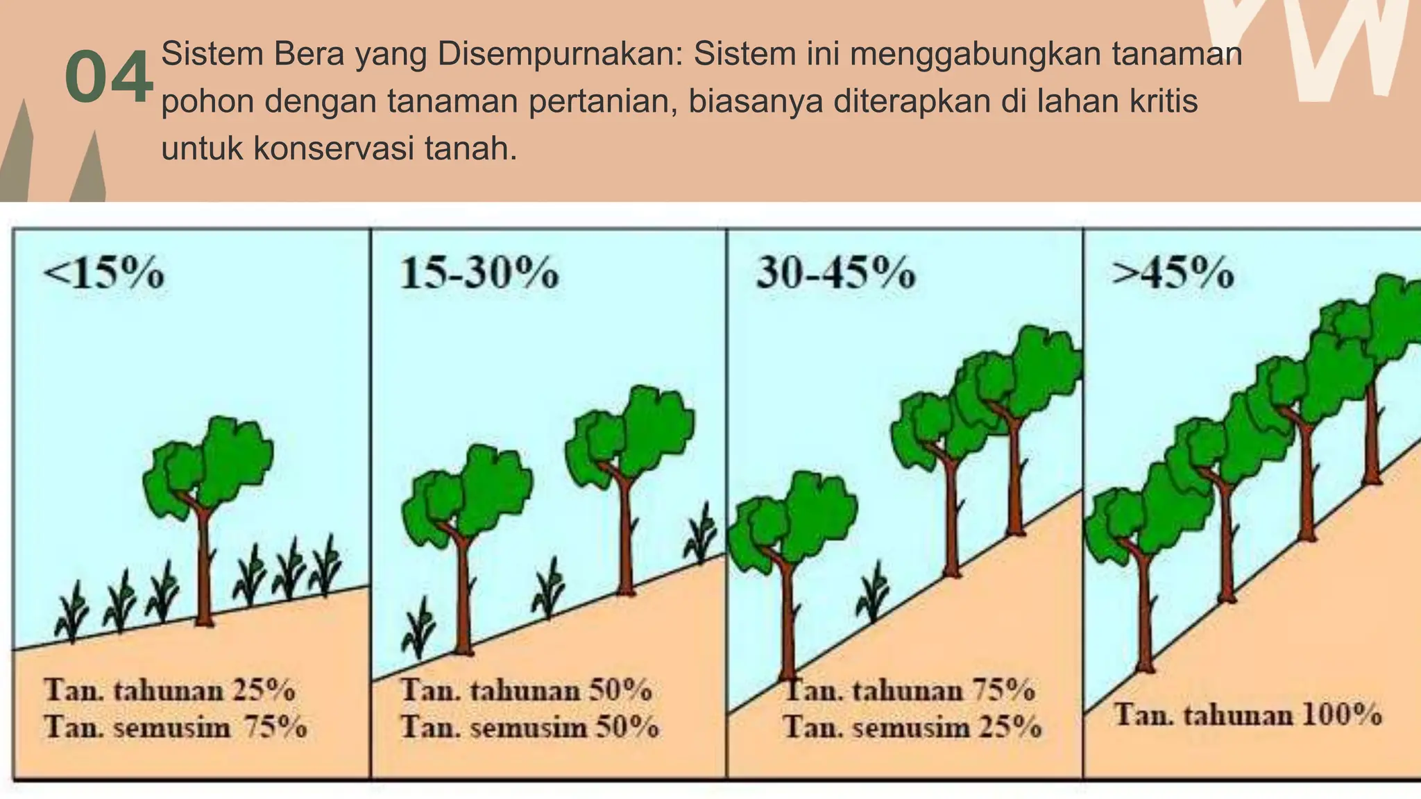 Klasifikasi sistem agroforestry.docx - Presentation.pptx