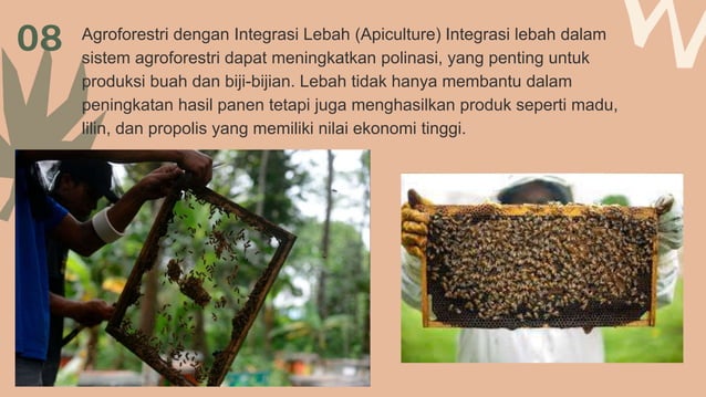 Klasifikasi sistem agroforestry.docx - Presentation.pptx