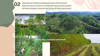 Klasifikasi sistem agroforestry.docx - Presentation.pptx
