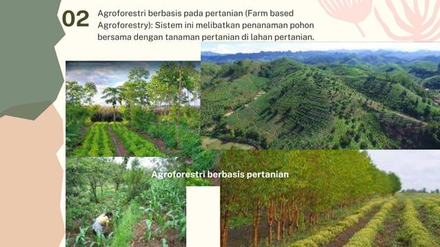 Klasifikasi sistem agroforestry.docx - Presentation.pptx