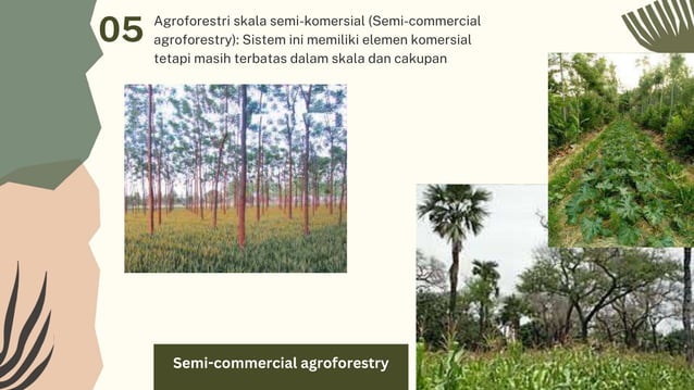 Klasifikasi sistem agroforestry.docx - Presentation.pptx