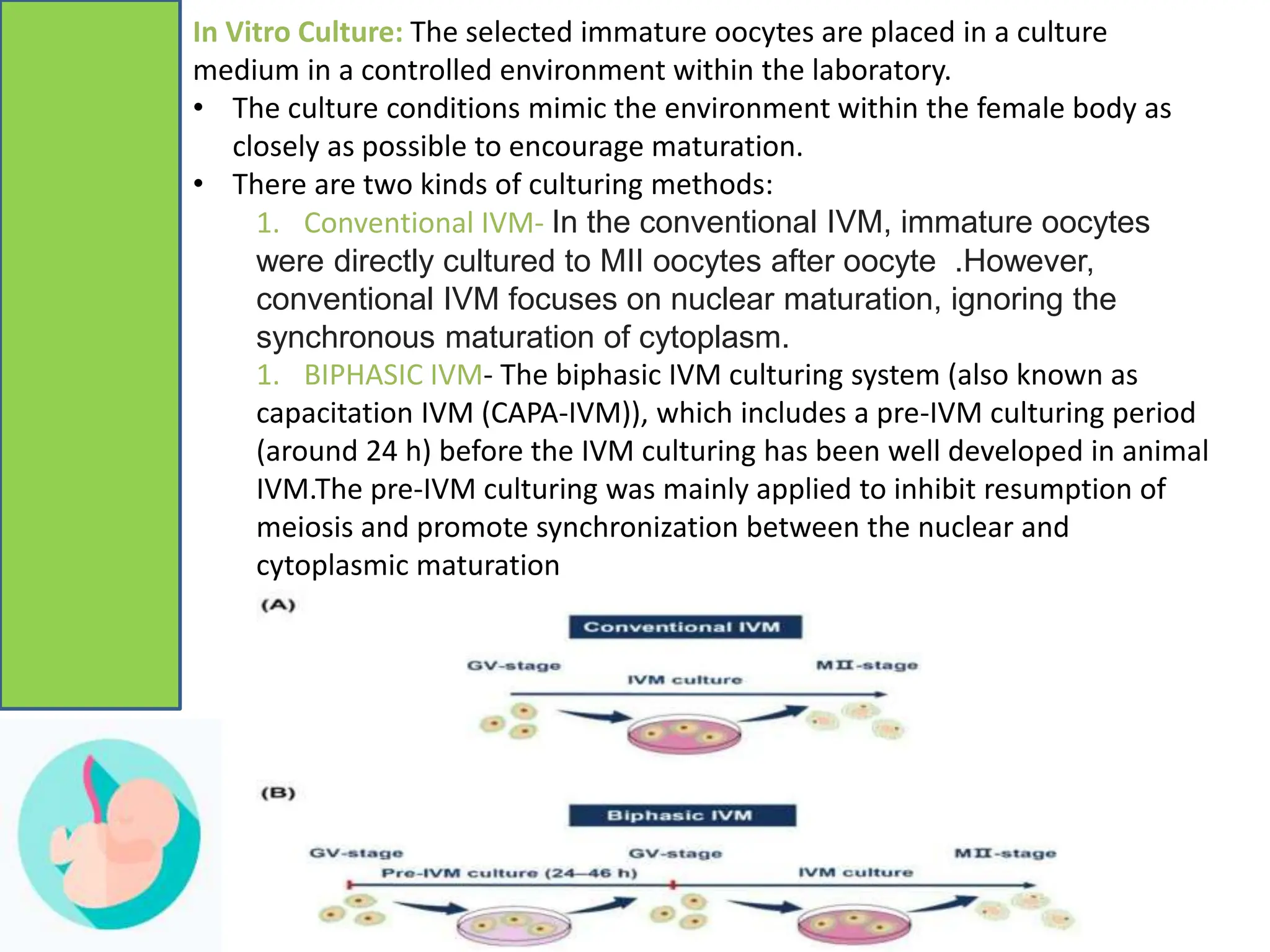 IVM (In vitro oocyte maturation).pptx