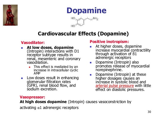 IVMS ANS Pharmacology- Adrenergic Drugs