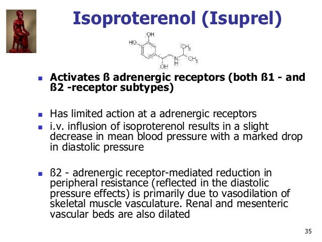 IVMS ANS Pharmacology- Adrenergic Drugs