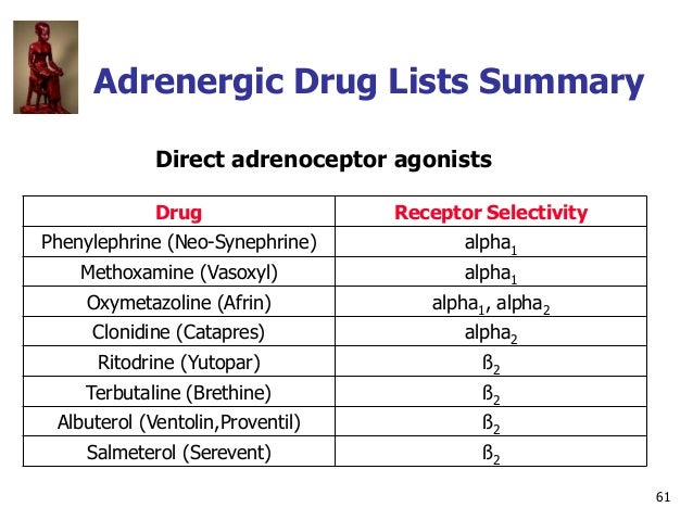 IVMS ANS Pharmacology- Adrenergic Drugs