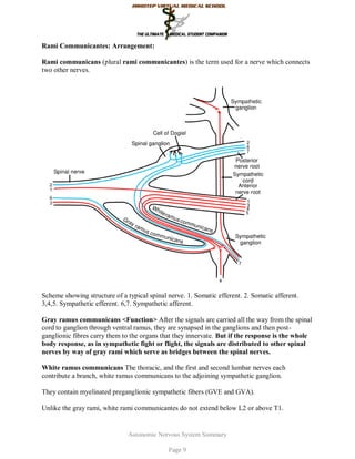 IVMS Autonomic Nervous System Summary | PDF
